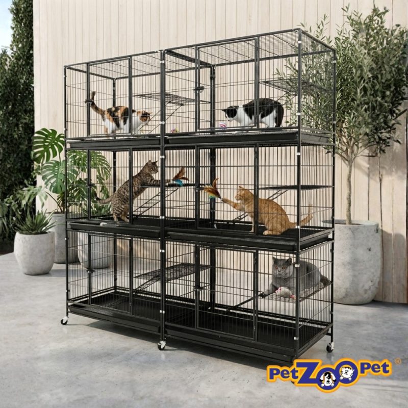 C370X – Cat Boarding Cage - Starcage Pet Products Sdn Bhd
